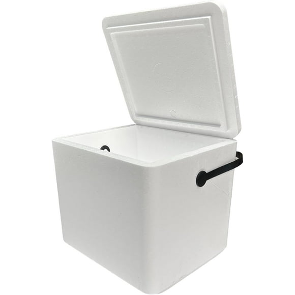 Styrofoam Coolers in Coolers - Walmart.com