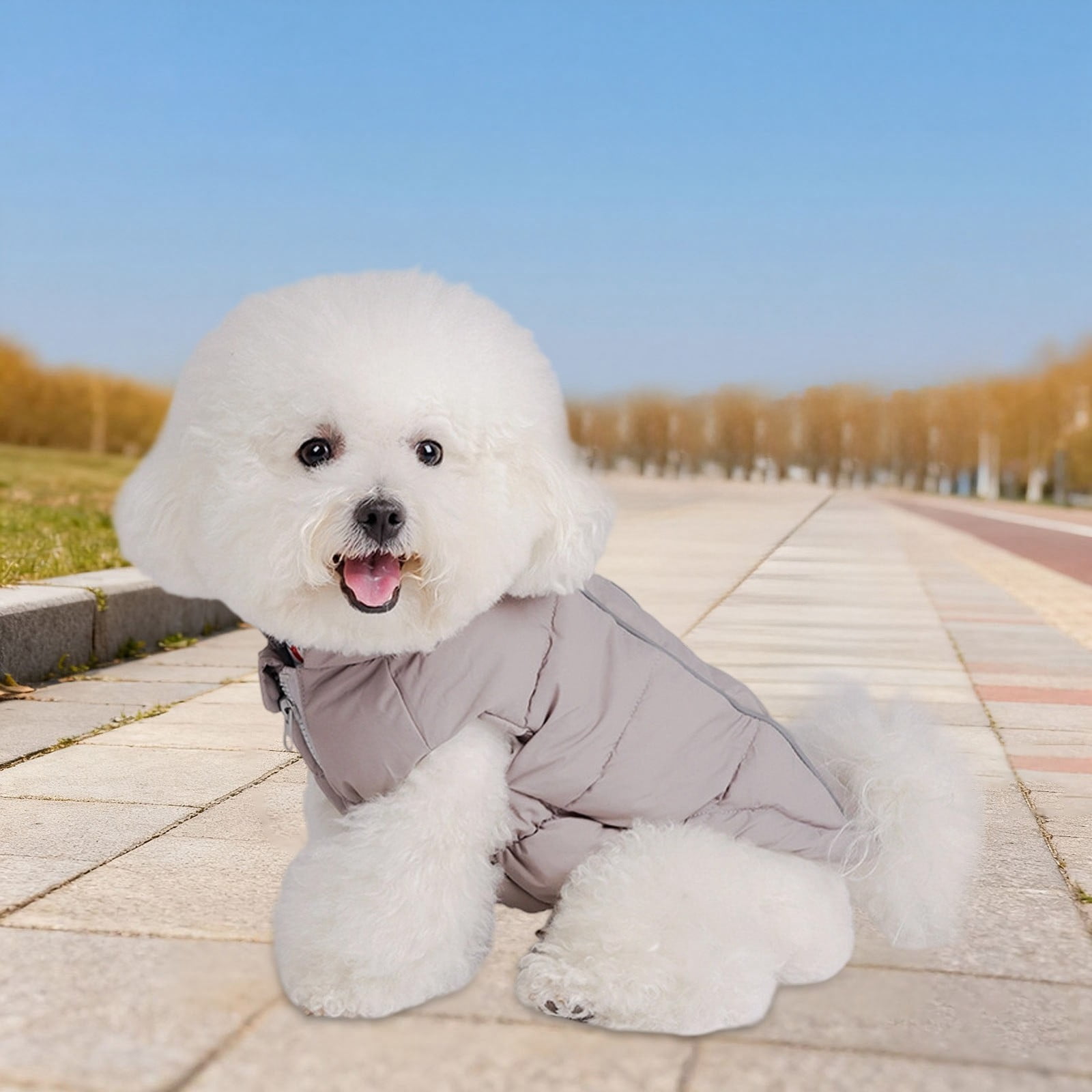 Insulated Winter Vest Cozy Thermal Lined Outerwear For Small Medium ...