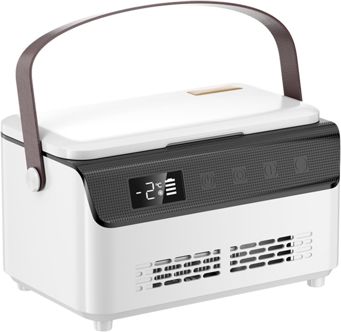 Insulin Cooler Travel Case, Diabetes Medical Cooler Thermostat ...