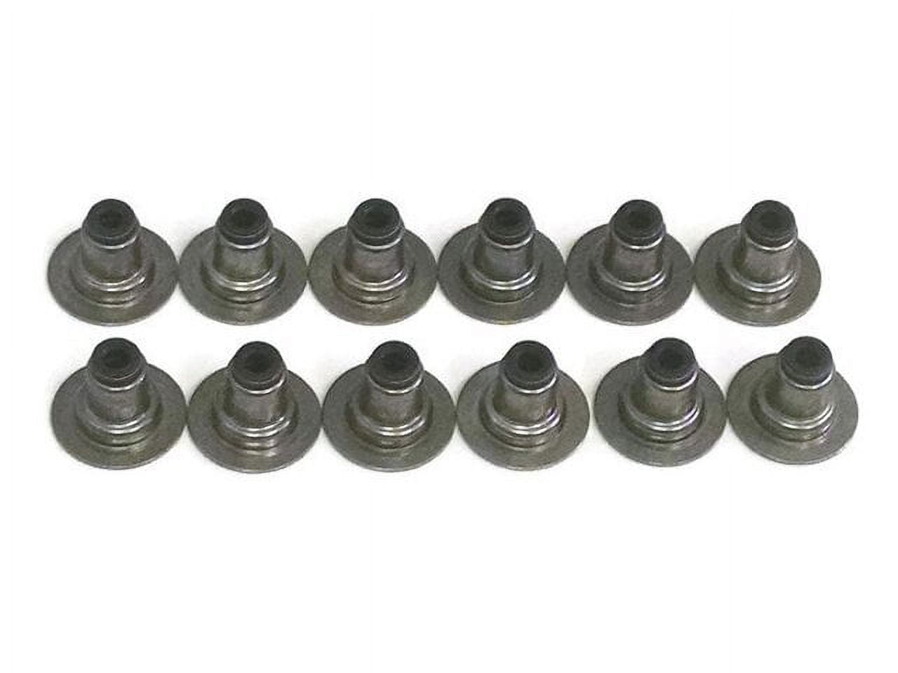 Intake and Exhaust Valve Stem Seal Kit - Compatible with 2008 - 2023 ...