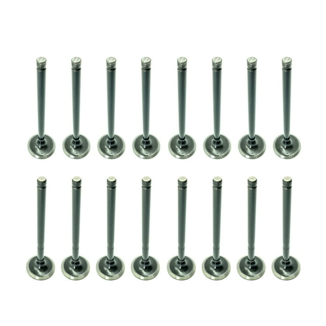 Intake & Exhaust Valves Kit For 2004-2005 Chevrolet Aveo 1.6L - Walmart.com