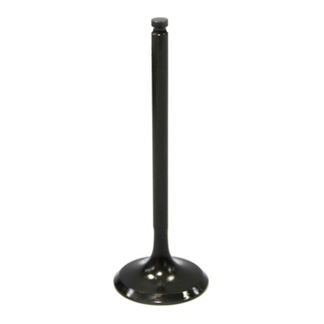 Intake Head & Stem Valve - Walmart.com
