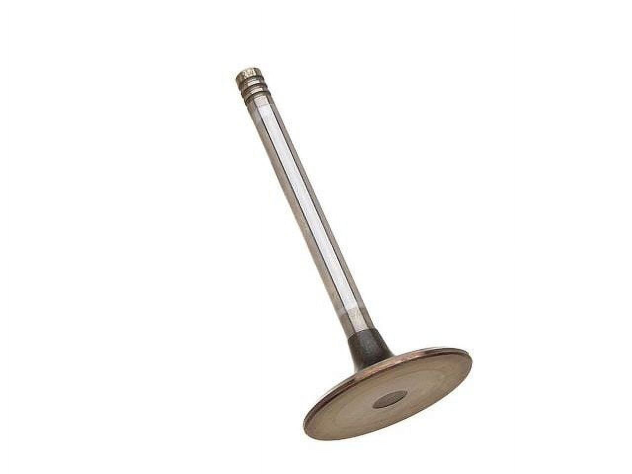 Intake Valve - Compatible with 1971 - 1974 BMW 2002tii 1972 1973 ...