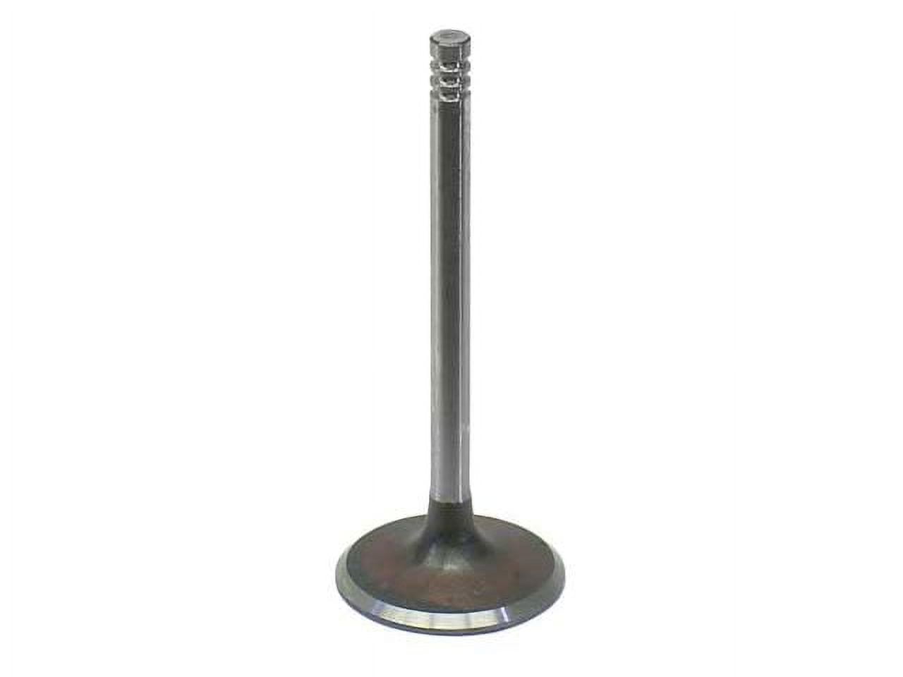 Intake Valve - Compatible with 1982 - 1987 BMW 528e 1983 1984 1985 1986 ...
