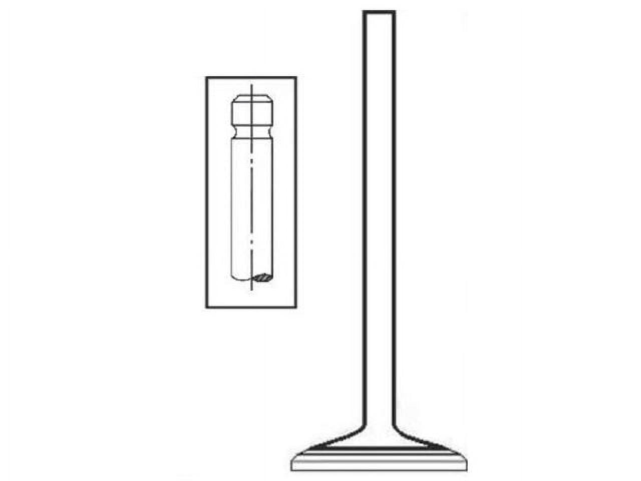 Intake Valve - Compatible with 1989 - 1997 Geo Metro 1.0L 3-Cylinder ...