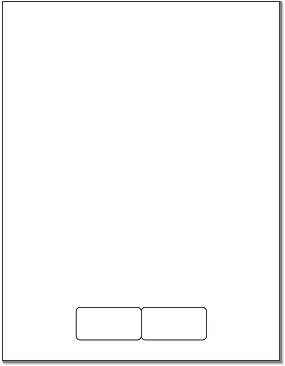 Integrated Laser Form with Label Combination 2x1" 2 Labels 250 Pack ...