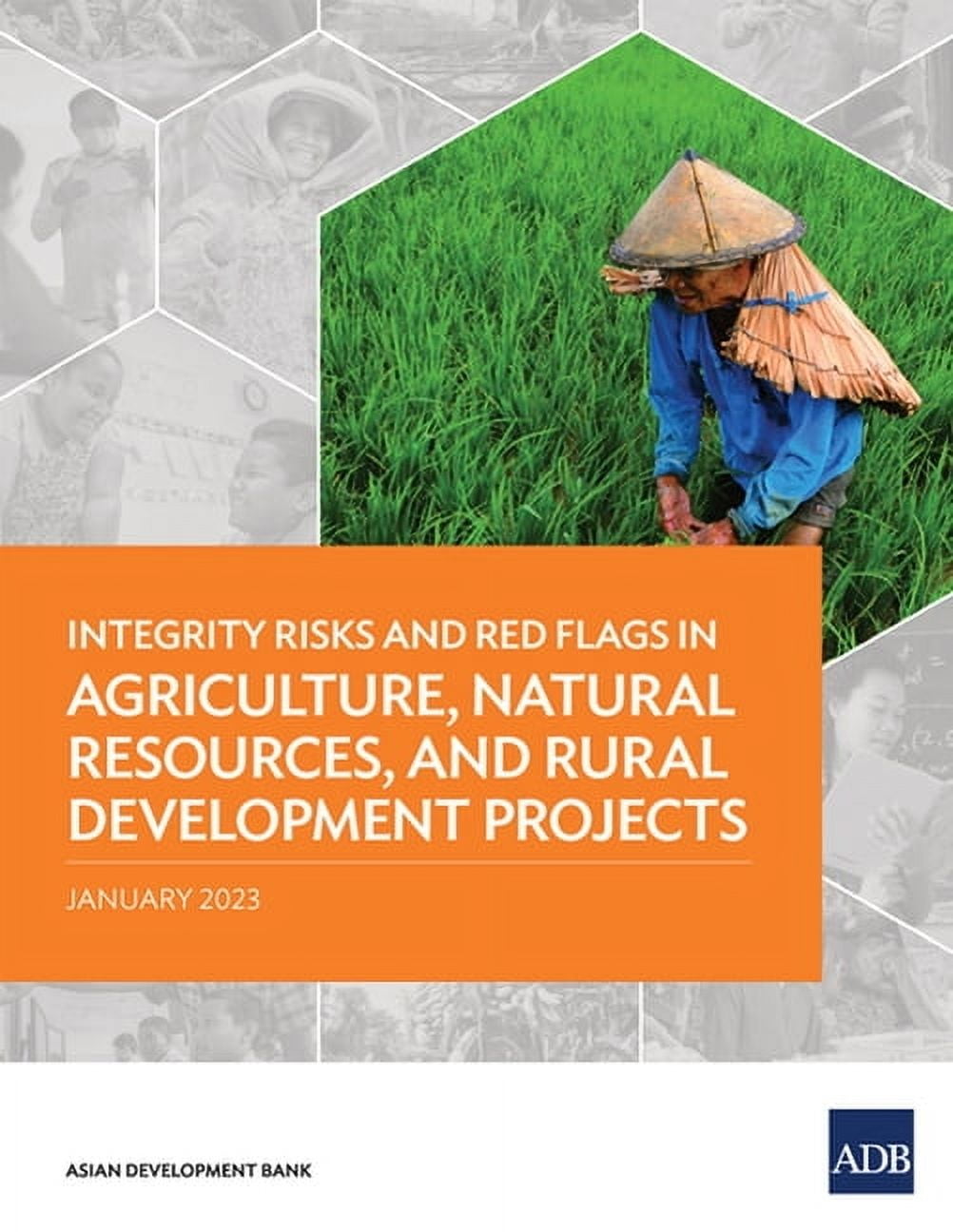Integrity Risks and Red Flags in Project Integrity Risks and Red Flags ...