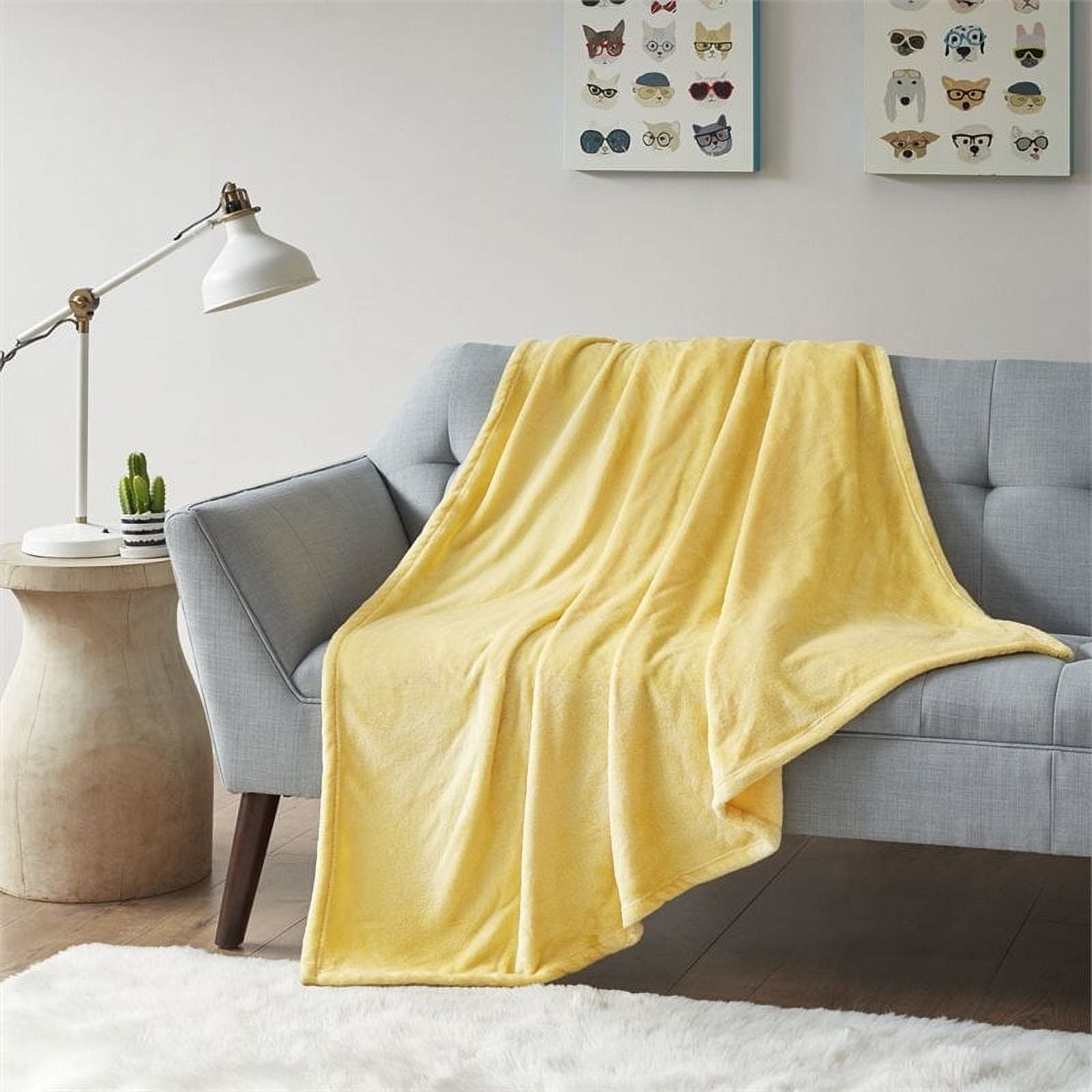 Intelligent Design Oversized Solid Microlight Plush Brushed Throw in ...