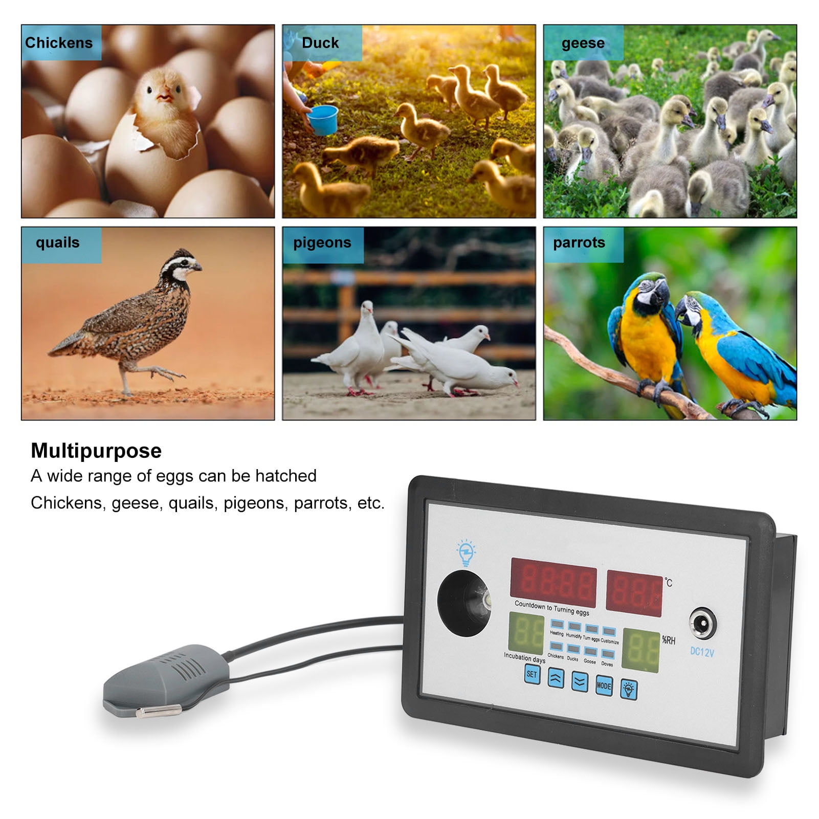 Intelligent Incubator Thermostat Automatic Egg Incubator Controller ...