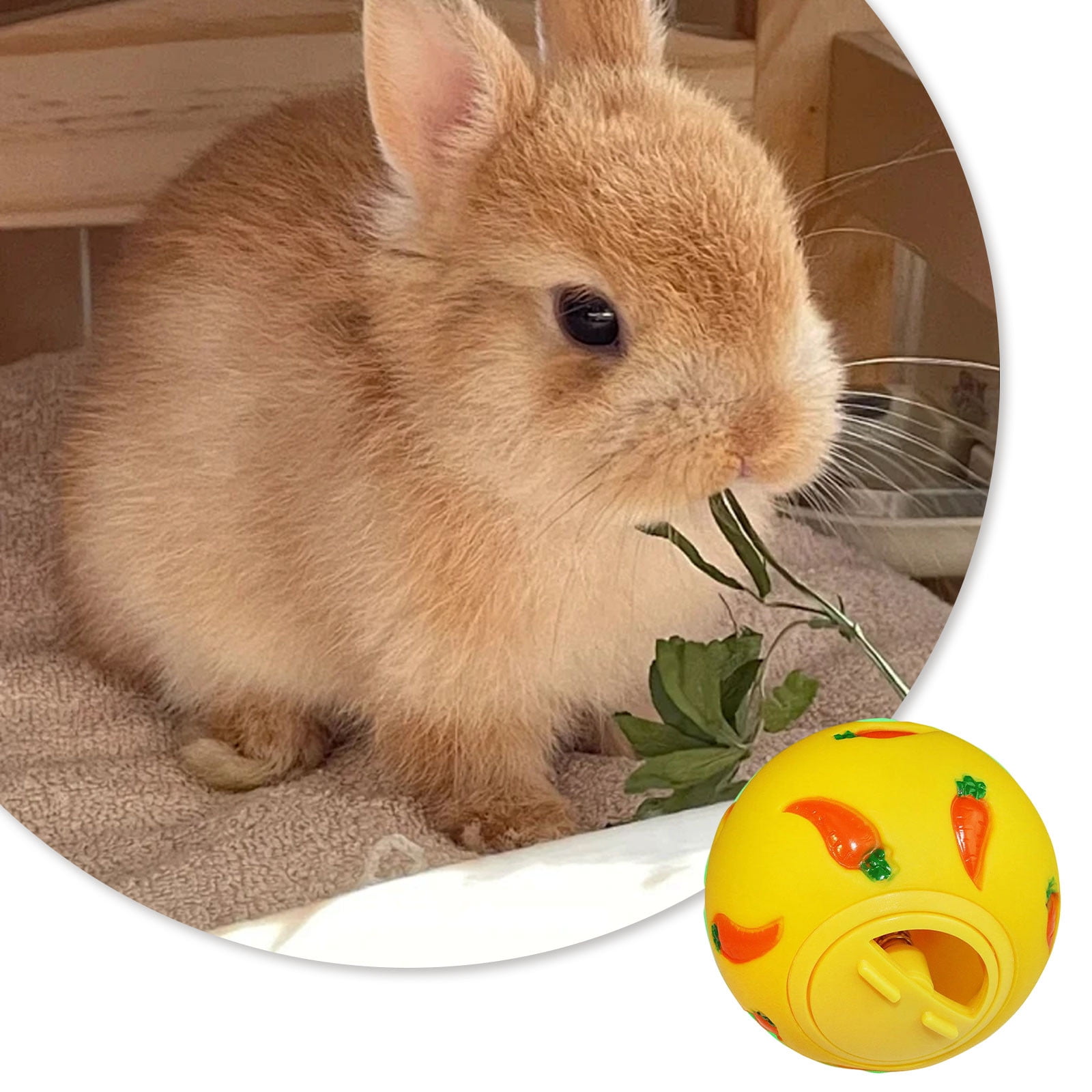 Rabbit Educational Slow Feed Puzzle Snack Dispenser Interactive Pet Toy ...