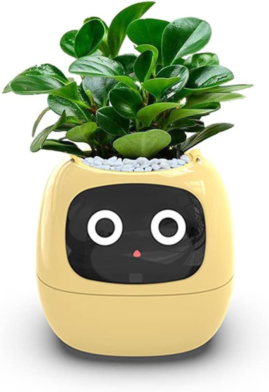 Intelligent flower pot, electronic bud, maintenance plant assistant, fun interactive flower pot ...