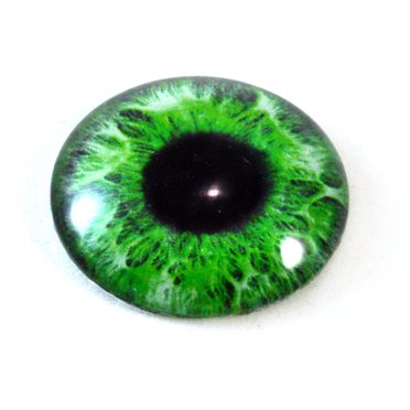 Shark Glass Eyes - Walmart.com