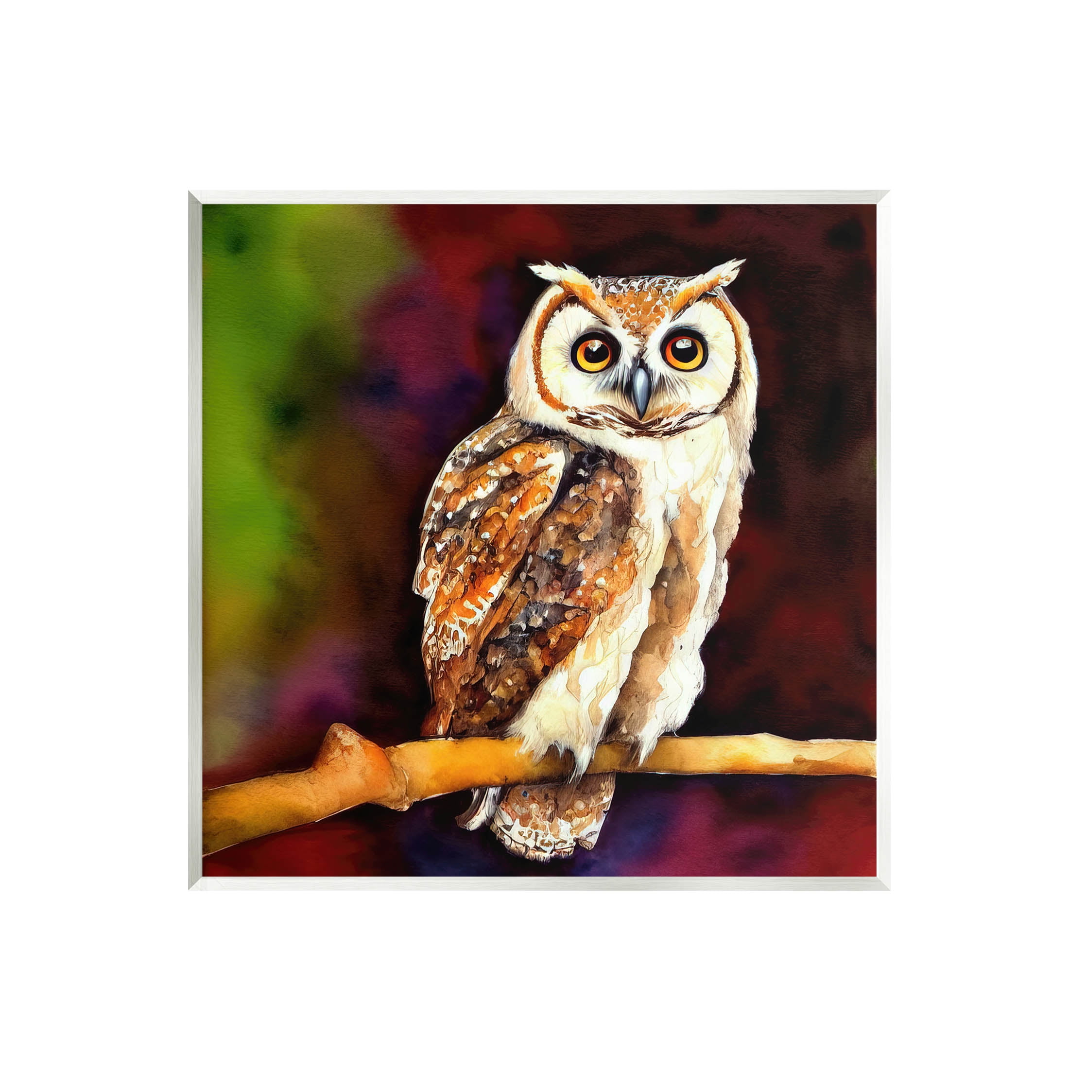 Stupell Industries Intense Owl Gazing Wildlife MDF Wall Art Plaque ...