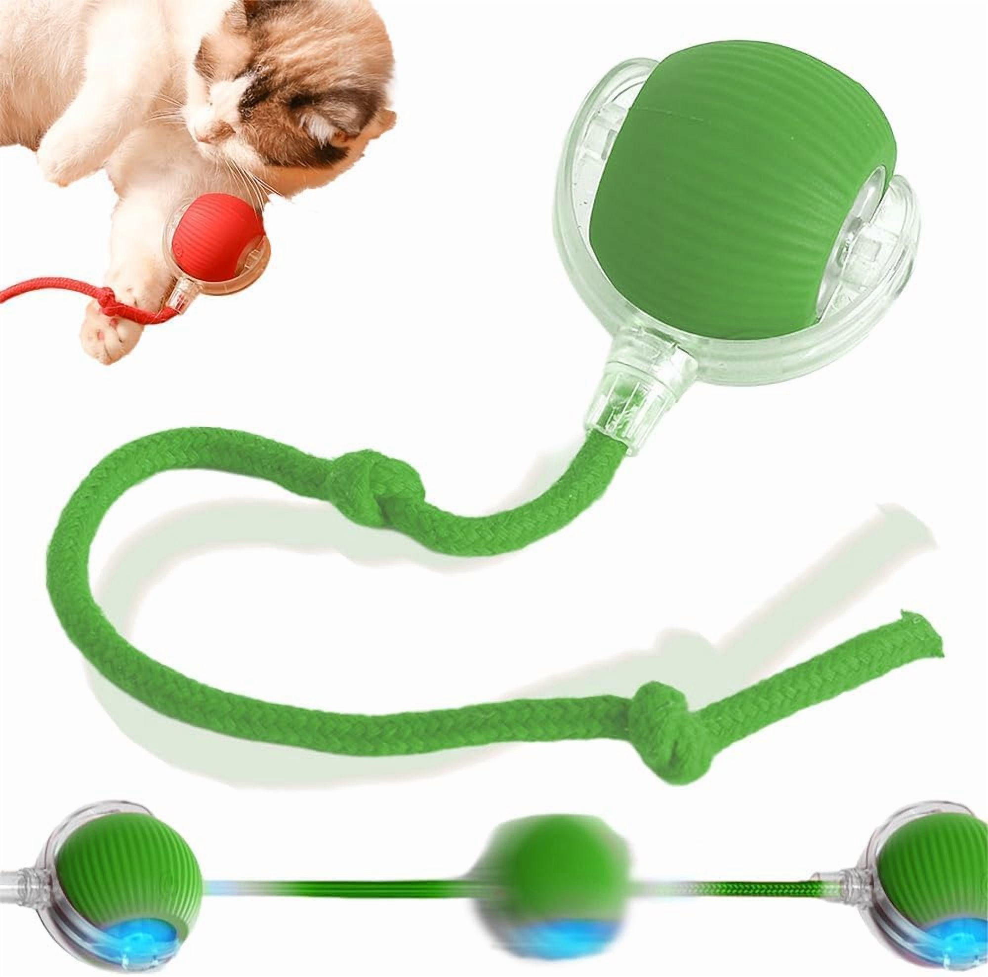 Interactive Automatic Rolling Ball Toy for Dogs & Cats, 360° Self ...