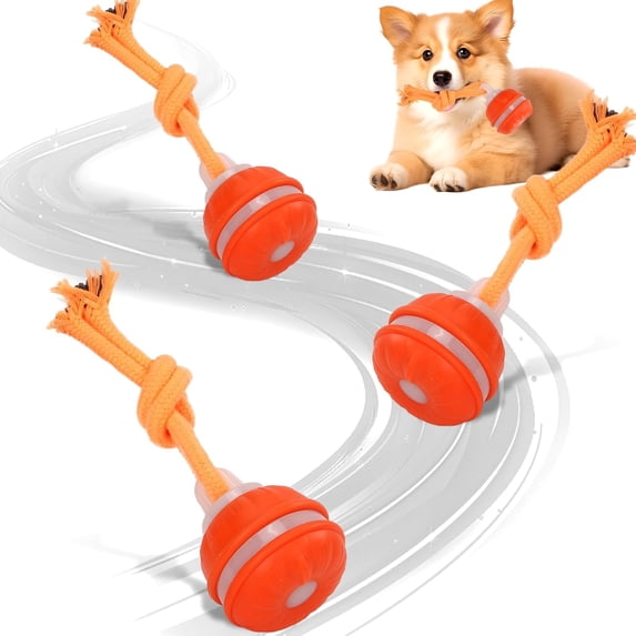Interactive Ball Random Path Automatic Moving and Rolling Dogs with ...