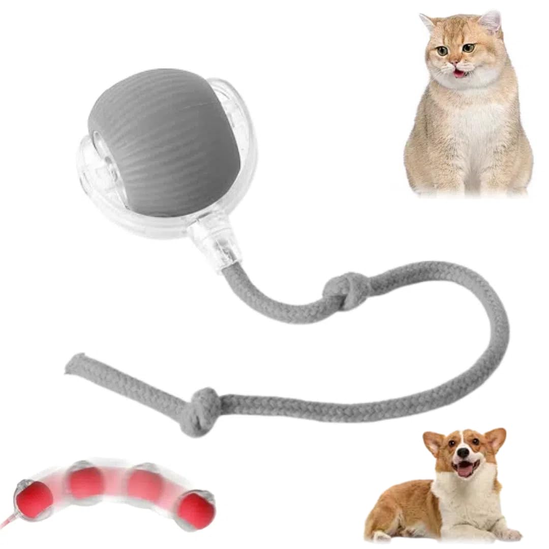 Interactive Cat Ball Toy 2025 New Cat Toys for Indoor Cats, Cat ...