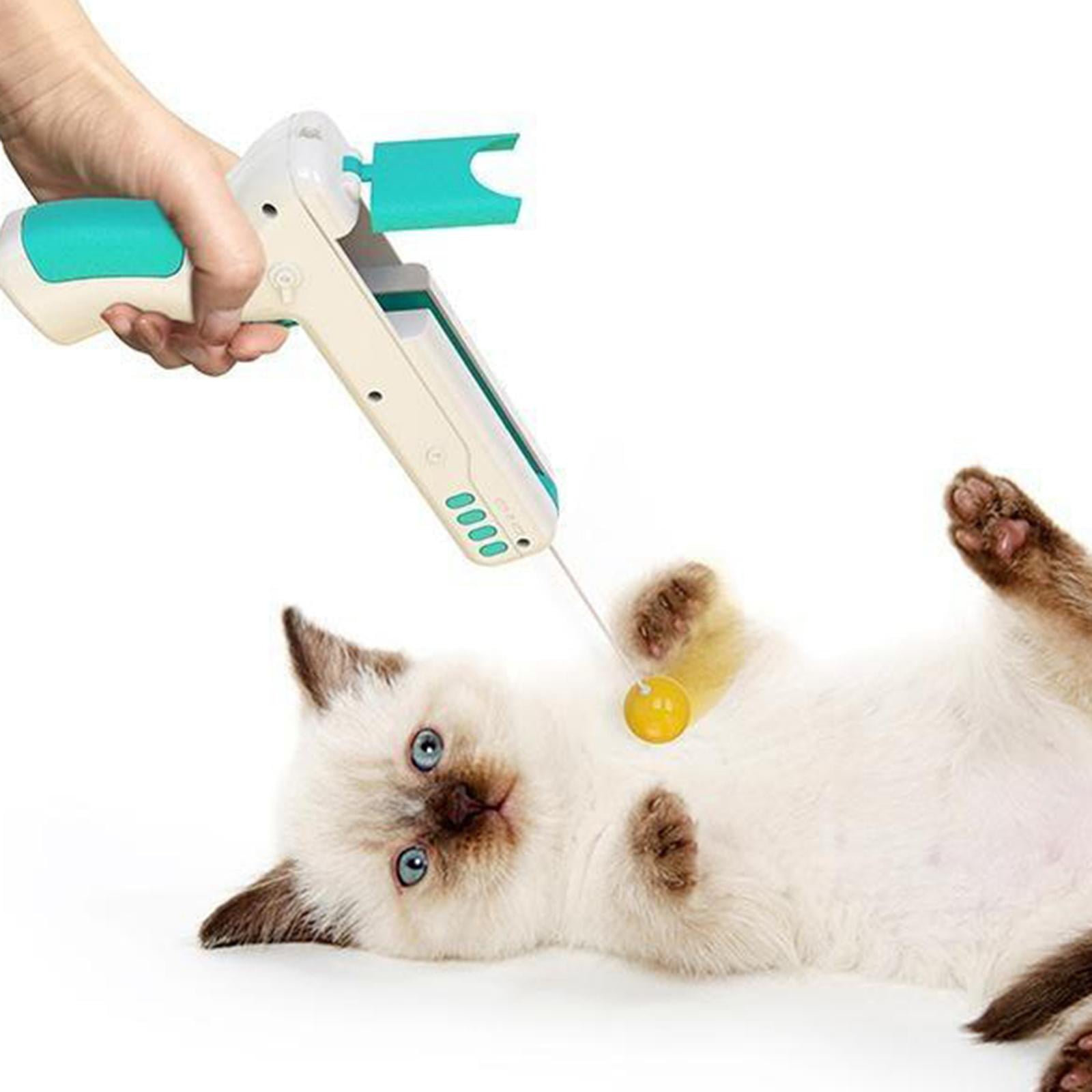 Interactive Cat Chasing Toys for s, Kitten Chaser Toys with Feather and ...