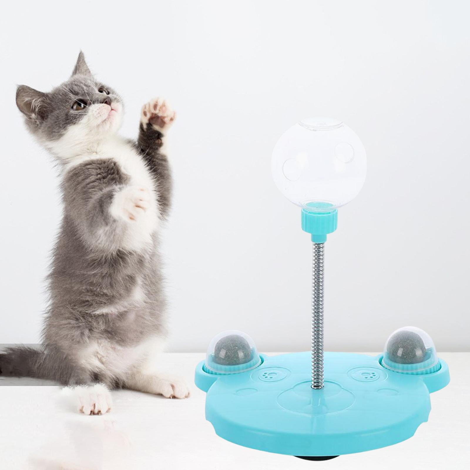 Interactive Cat Feeder Toy for Indoor Cats Slow Feeders Spring Toys ...
