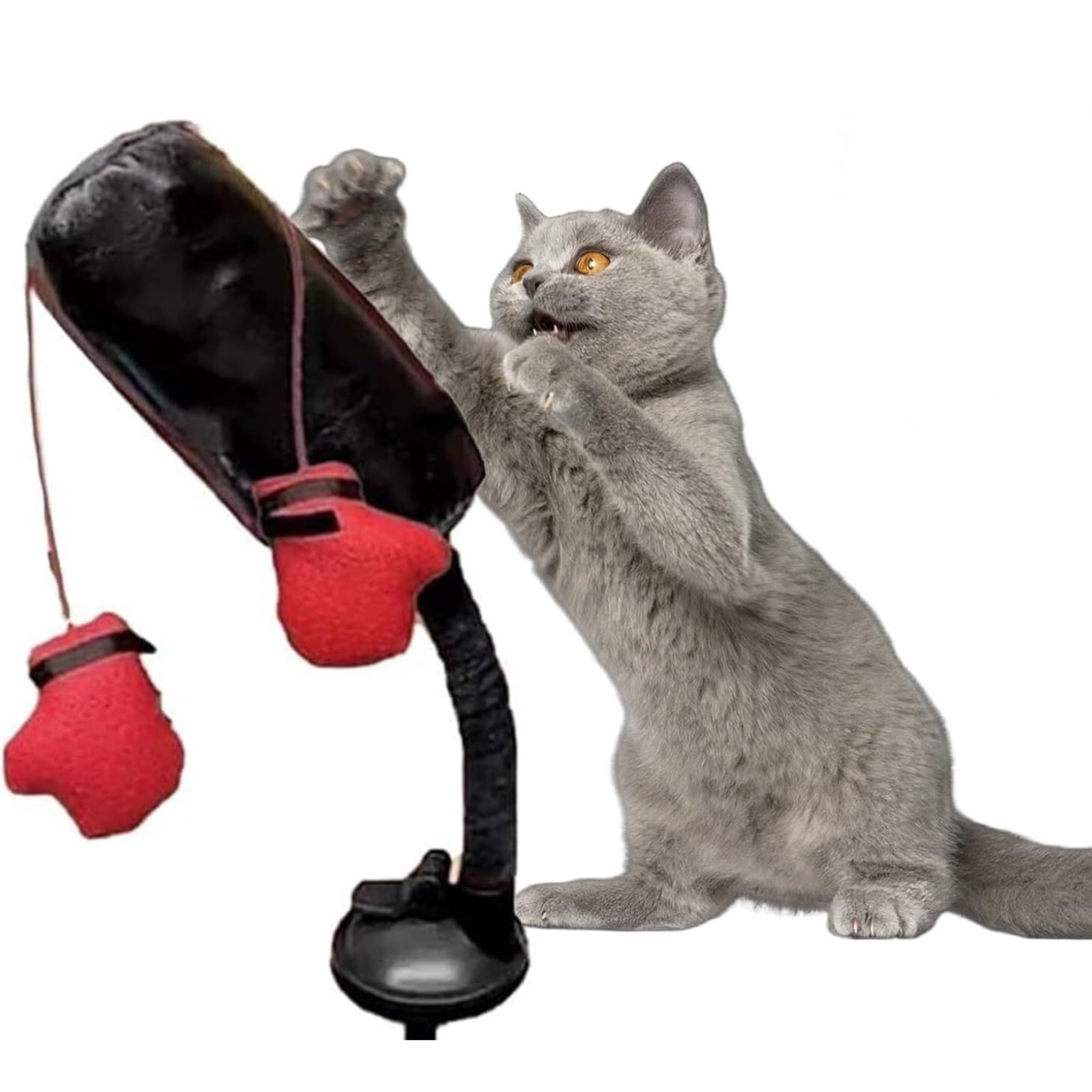 Interactive Cat Punching Bag Toy, Fun Boxing Gym for Kittens & Cats ...
