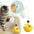 Interactive Cat Teaser Wand Toy for Indoor Play Exercise and Bonding with Your Feline Companion ...