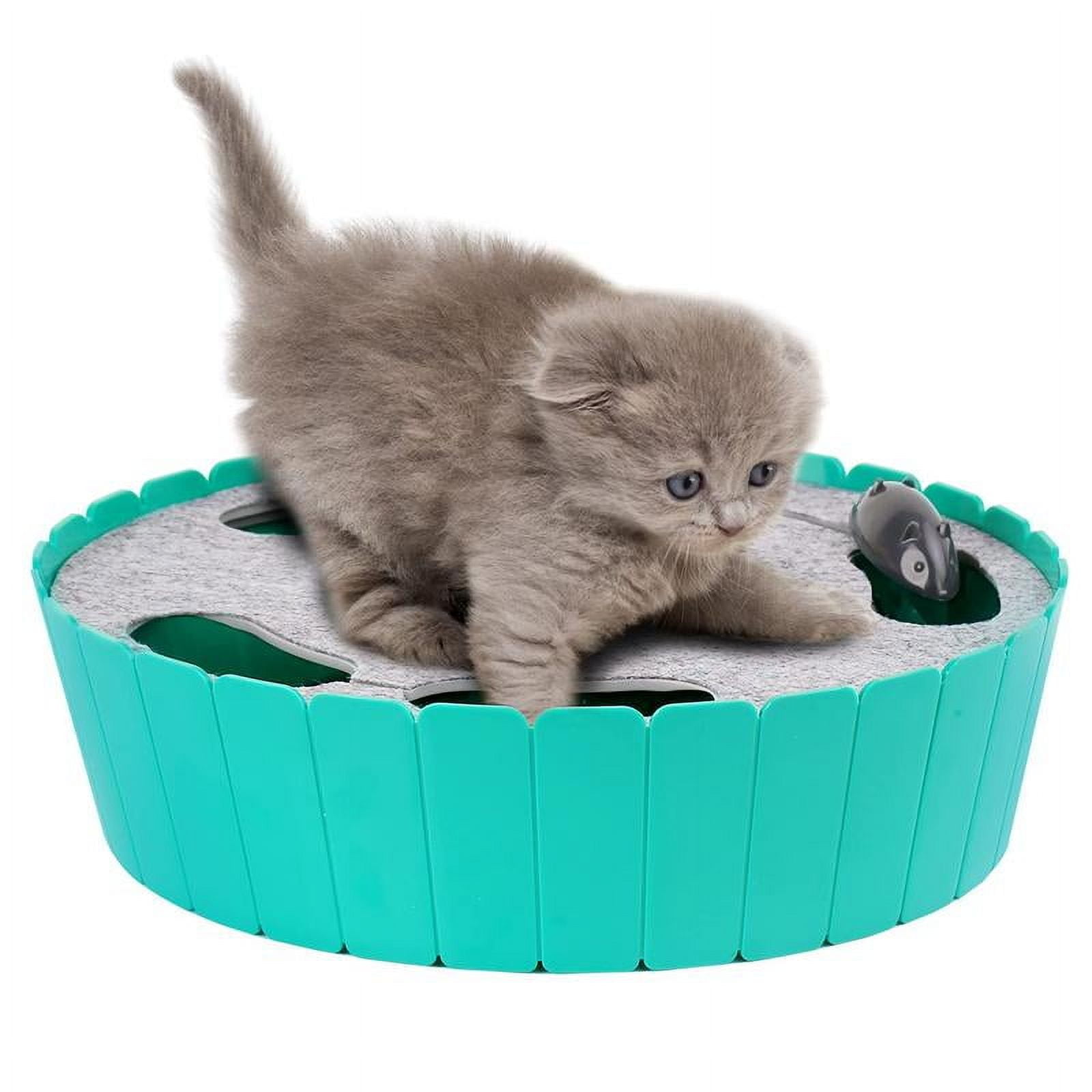 Interactive Cat Toy - 4 Holes Whack-a-mole Electric Toy with Running ...
