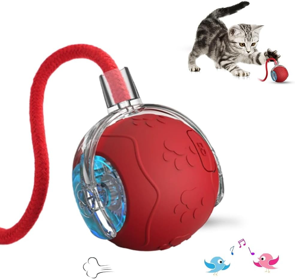 Interactive Cat Toy Ball, 2025 Upgraded 360° Automatic Rolling Cat Ball ...