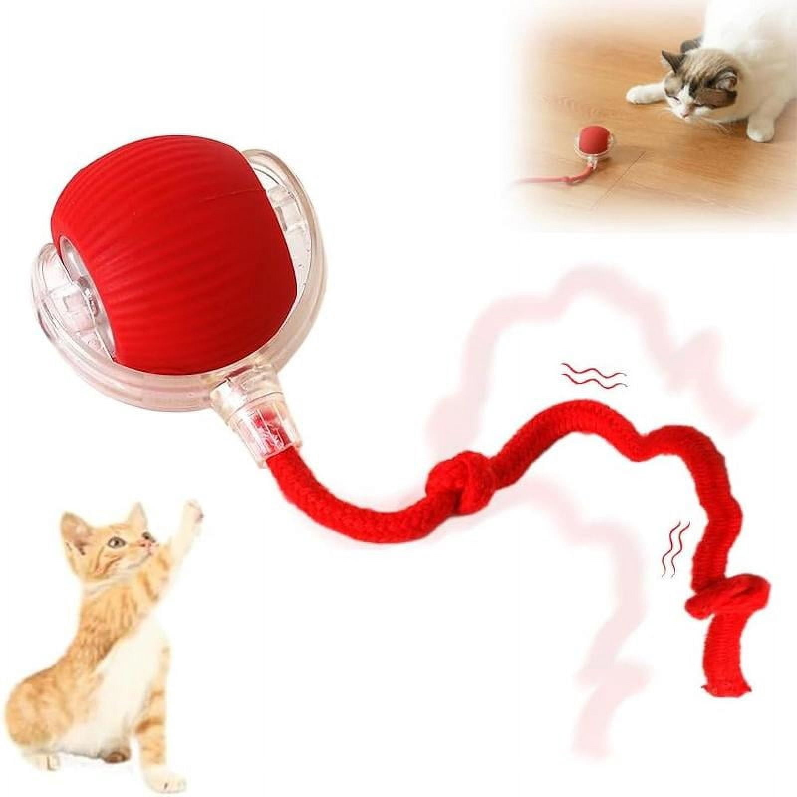 Interactive Cat Toy Ball: Automatically rolling electric ball, suitable ...