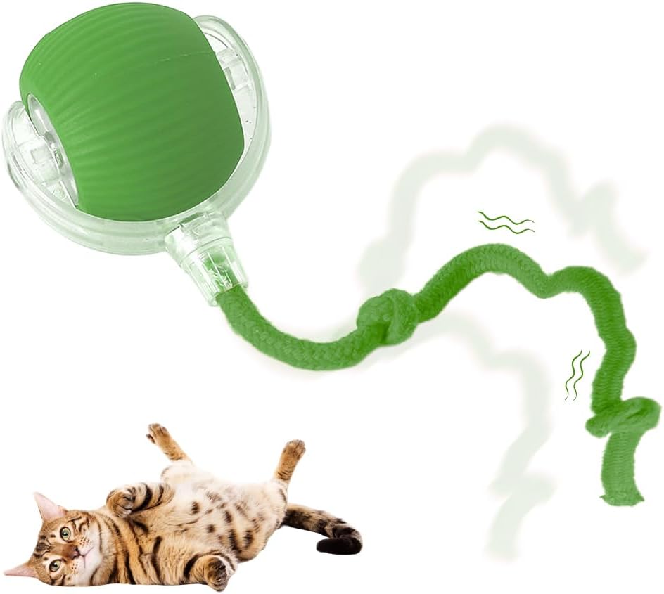 Interactive Cat Toy Ball for Indoor Cats, 2025 Upgraded Cat Toys for ...