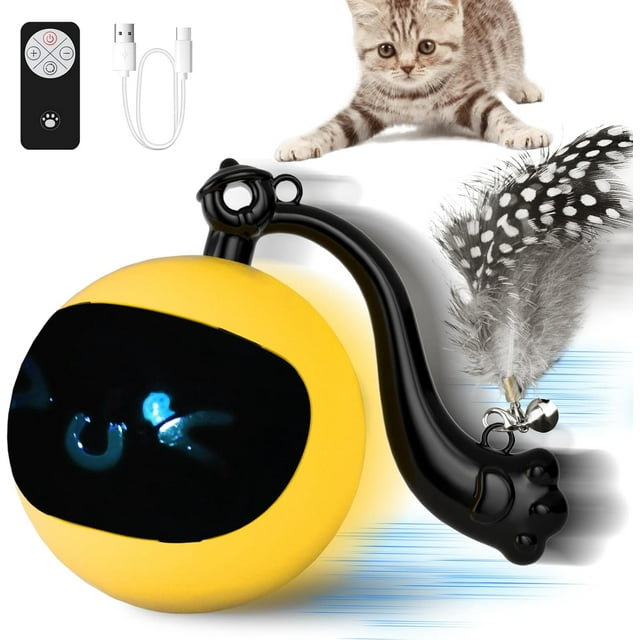 Interactive Cat Toy Ball with Remote Control, Automatic Moving ...