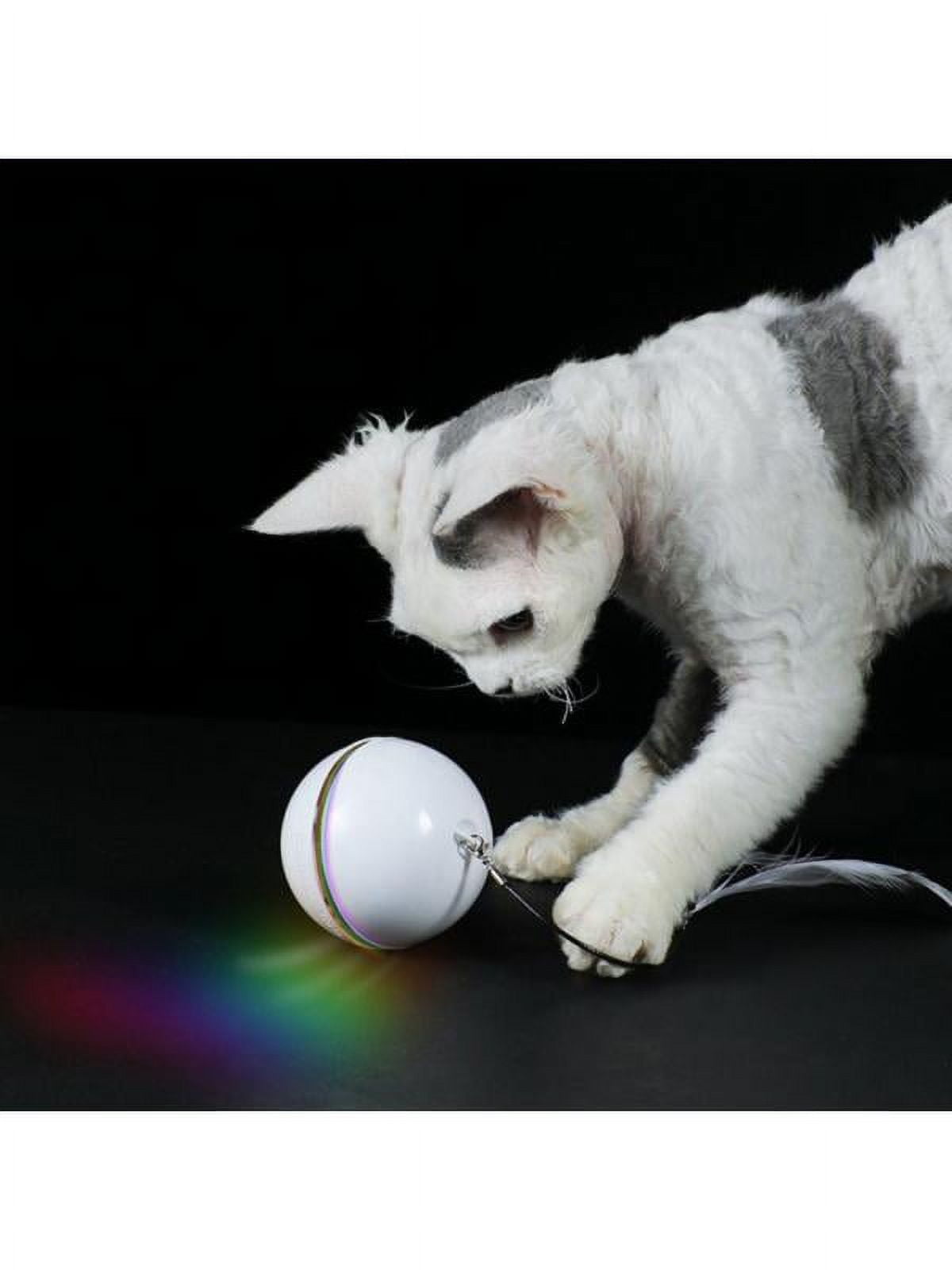 Interactive Cat Toy Ball with Feather Smart Pet Toy Self Rotation ...