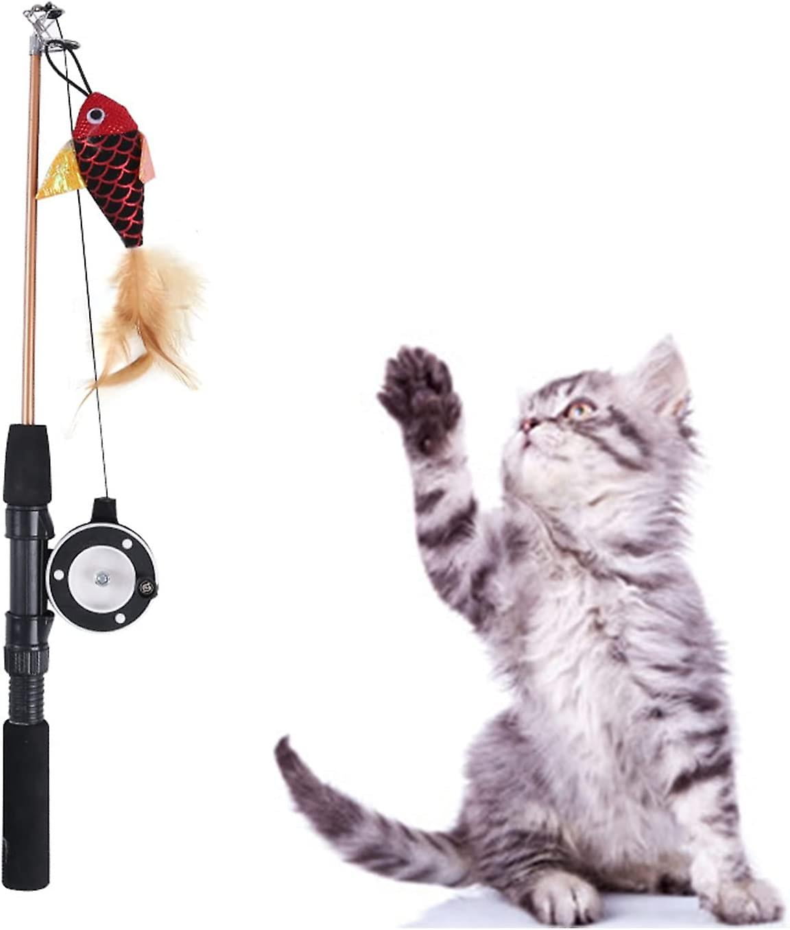 Interactive Cat Toy, Interactive Fishing Toys For Cats, Retractable Cat ...
