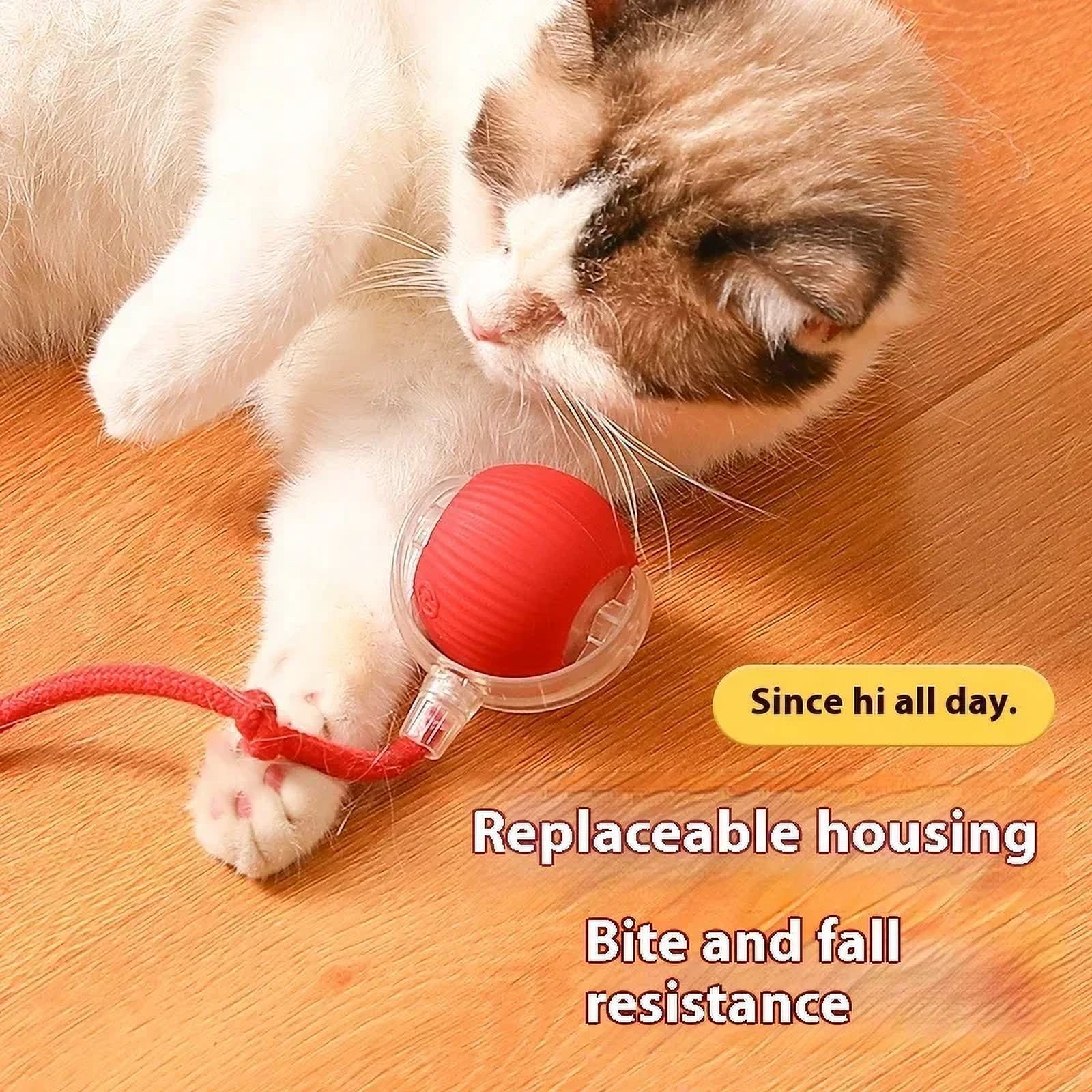 Interactive Cat Toys Ball Auto Electric Rolling Ball Toys for Cats ...
