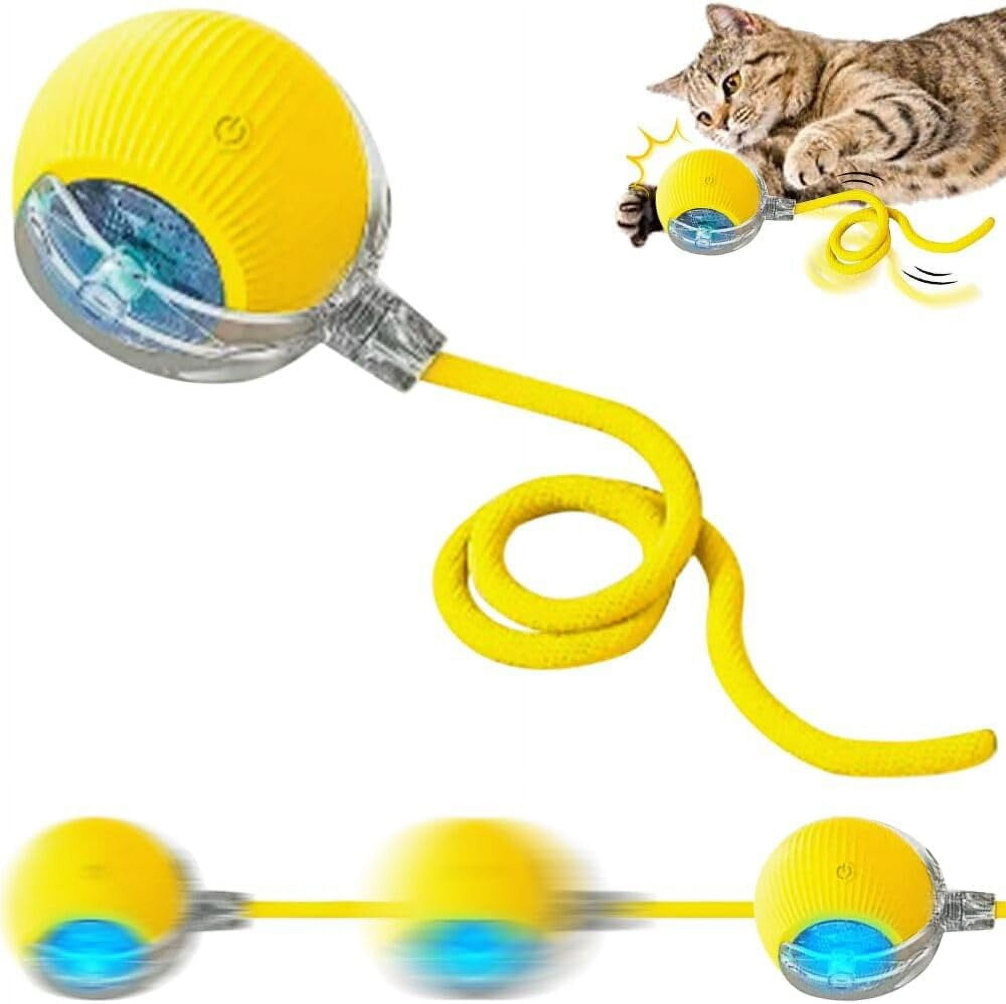 Interactive Cat Toys Ball Fast Rolling on Carpet, Motion Activate Cat ...