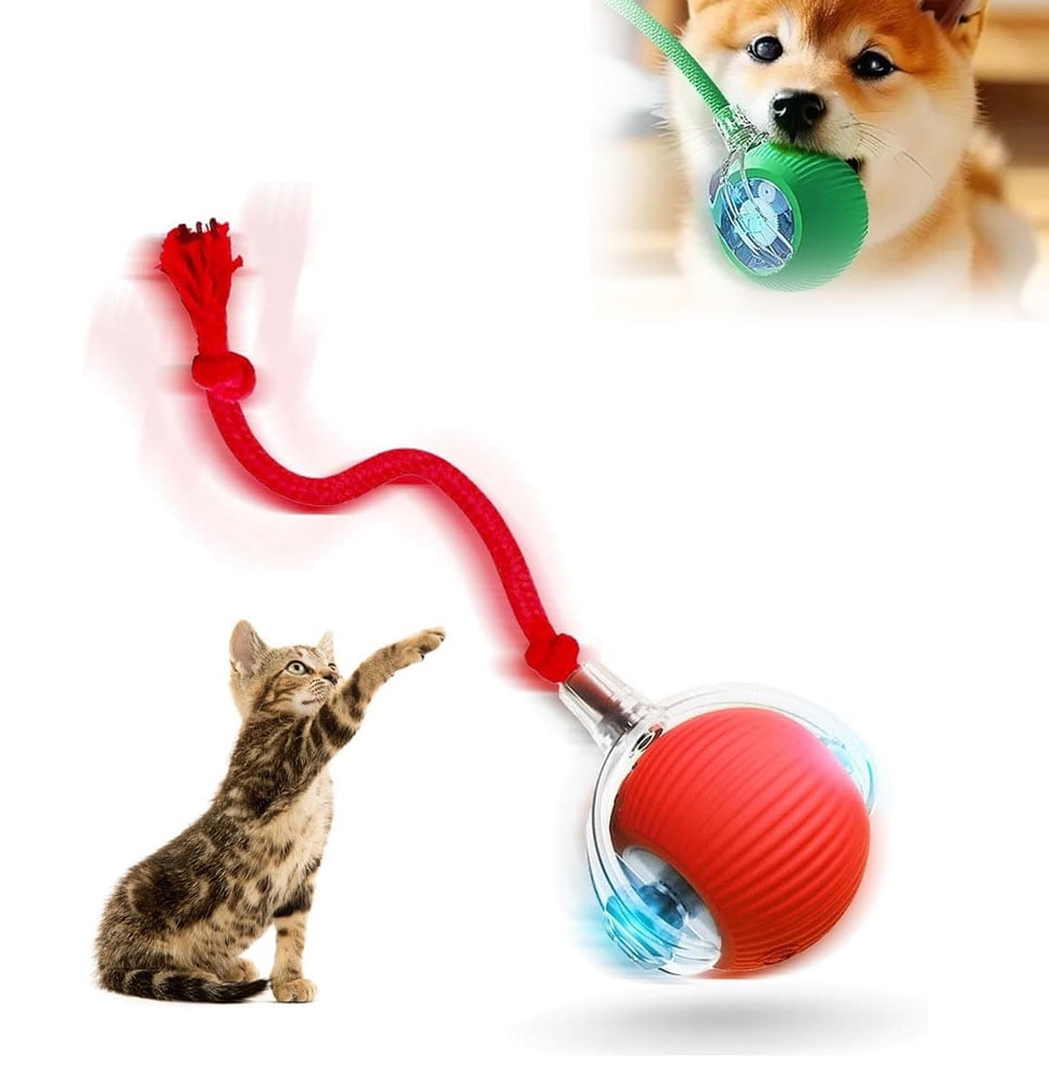 Interactive Cat Toys Balls for Indoor Cats, 2025 New Motion Activated ...