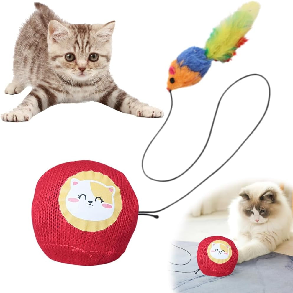 Interactive Cat Toys Balls for Indoor Cats Dogs, Interactive Cat Ball ...