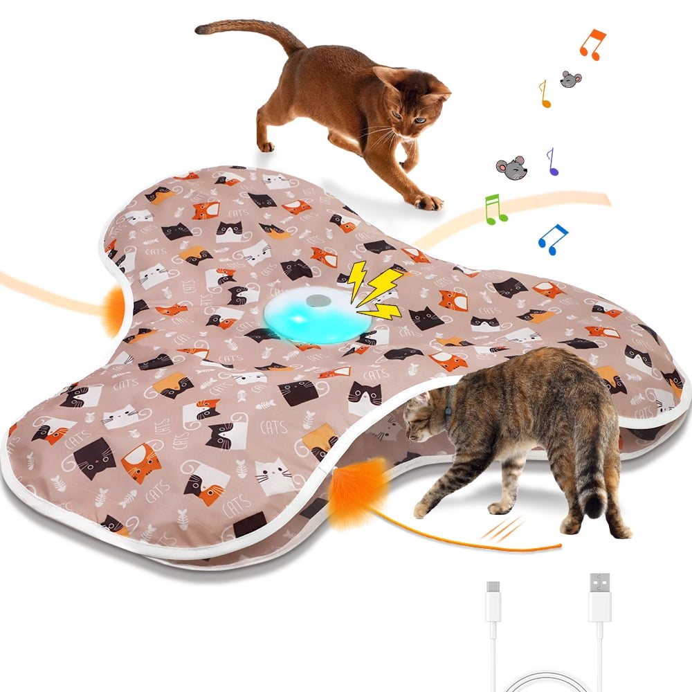 Interactive Cat Toys for Indoor Cats‌ Adult‌ with Feather Tail ...