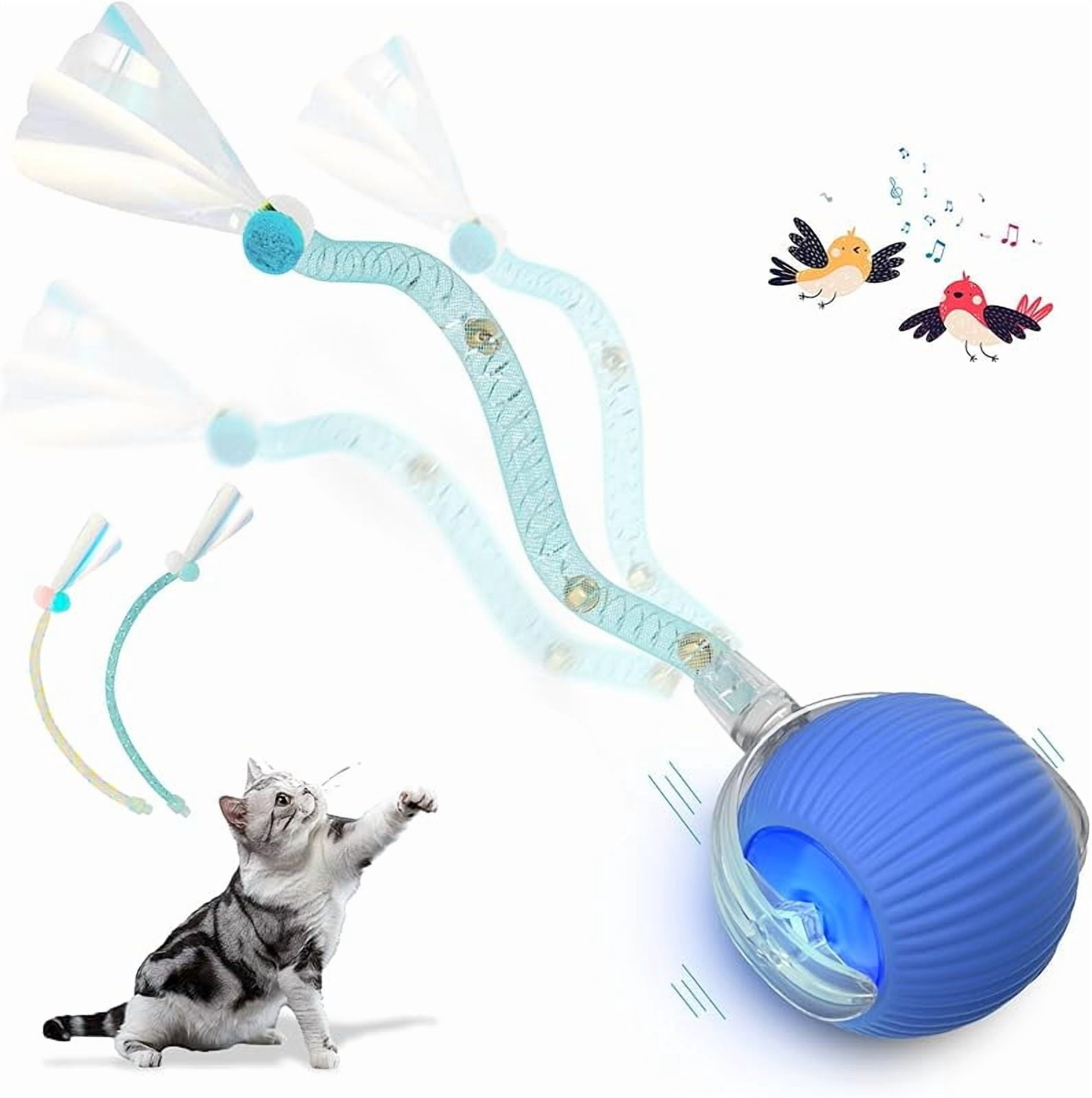 Interactive Cat Toys for Indoor Cats, Interactive Cat Ball Toy with ...