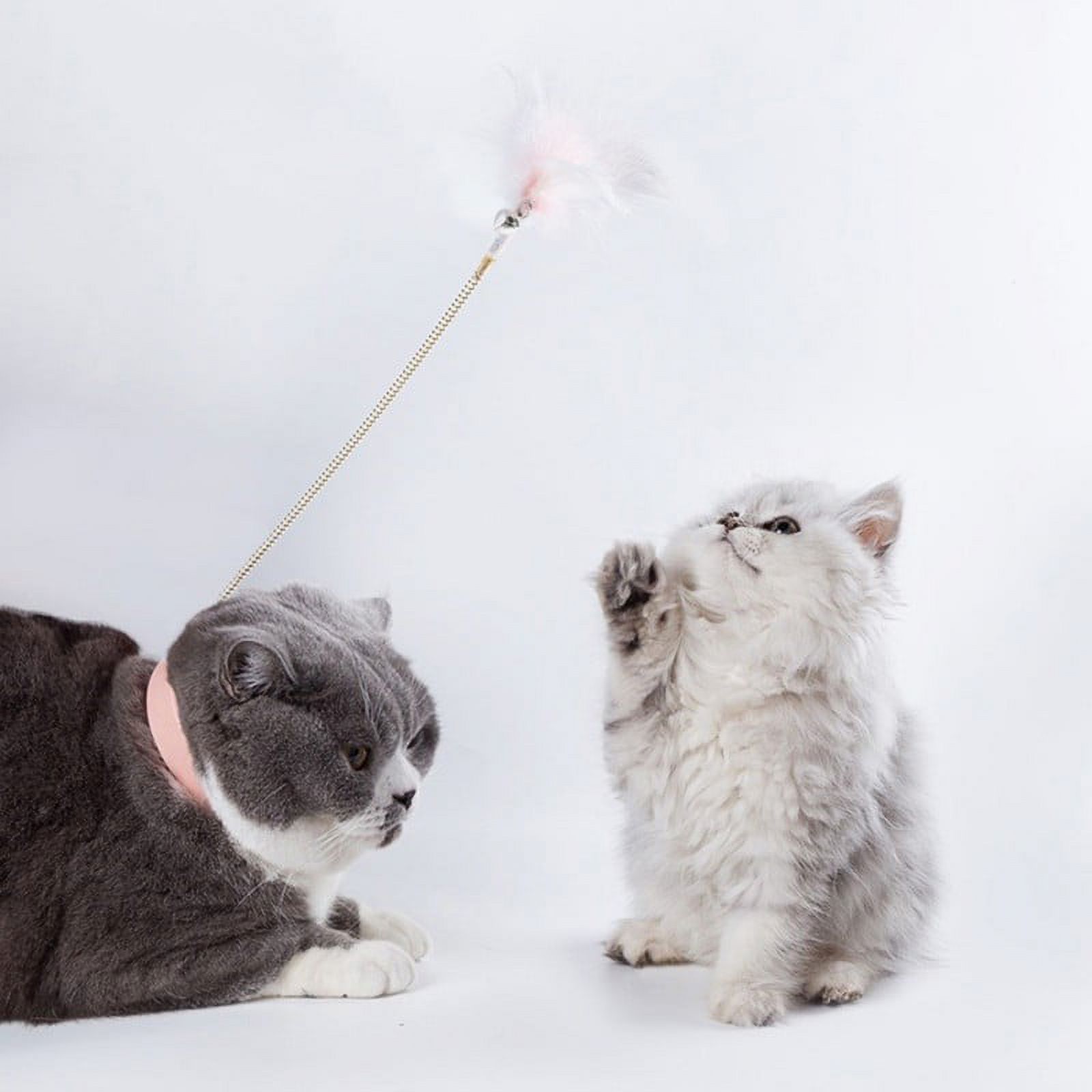 Interactive Cat Toys for Indoor Cats - Kitten Toys Cat Feather Wand ...