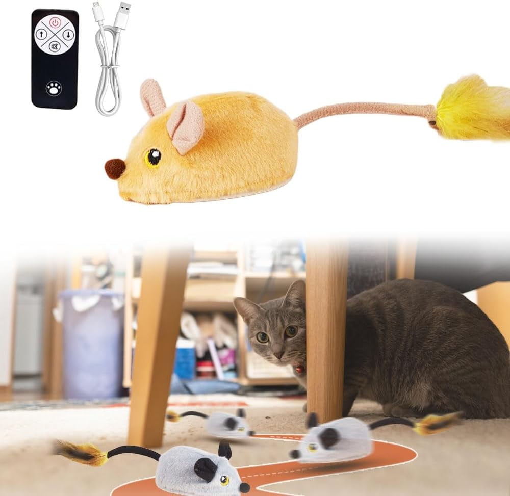 Interactive Cat Toys, Indoor Remote Control Cat Toys, Automatic Cat ...