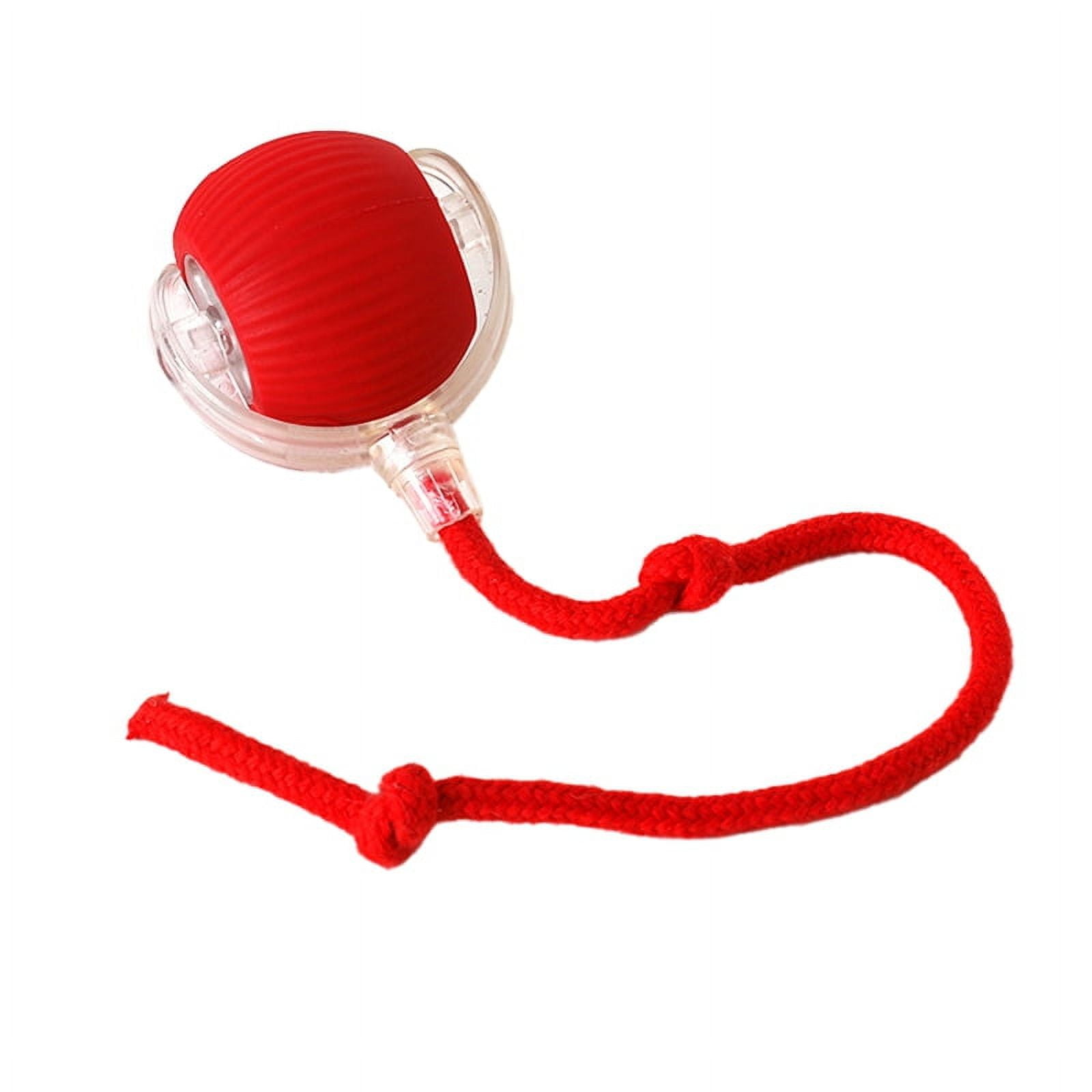 Interactive Cat Toys Rolling Ball Motion Activate Fast Rolling on ...