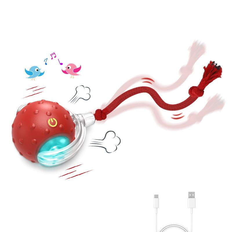 Interactive Cat Toys for Bored Cats, with Chirping, Centipede Motion ...
