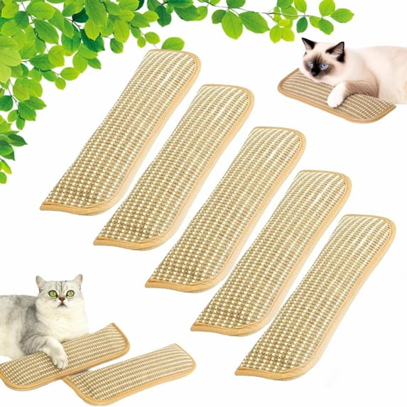 Interactive Catnip Chew Toy, 3/5 PCS Cat Pillow for Indoor Cats with ...