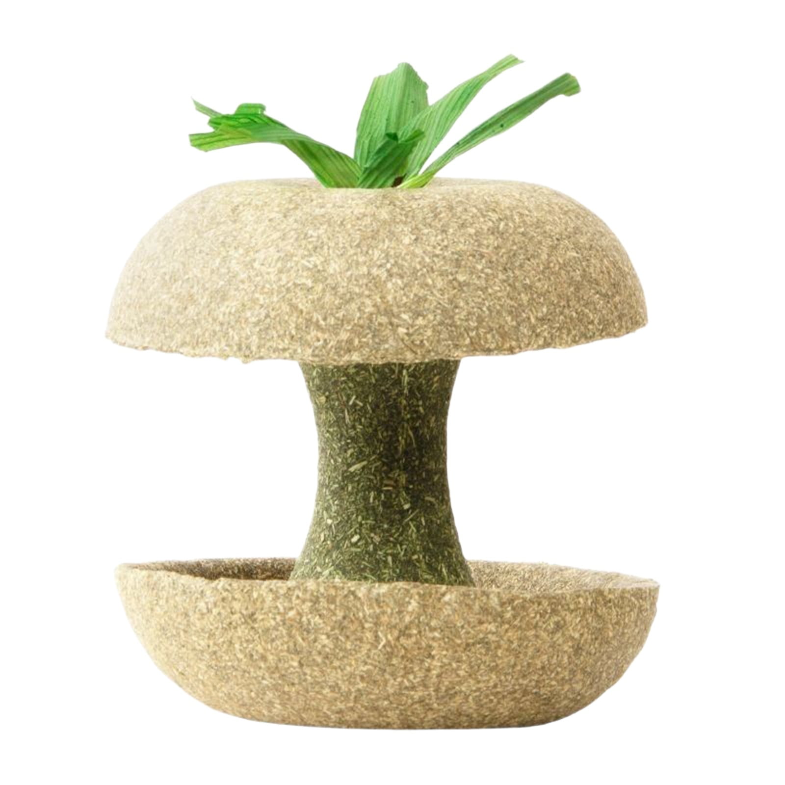 Interactive Catnip Toy for Cats, Natural Edible Cat Chew Toy, Dental ...