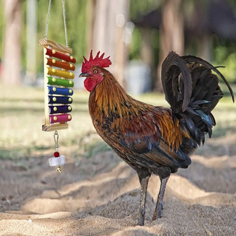 Interactive Chicken Xylophone Toy with Grind Stone bell Pendant for ...