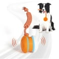 Interactive Dog Ball, Random Path Electric Automatic Moving and Rolling ...