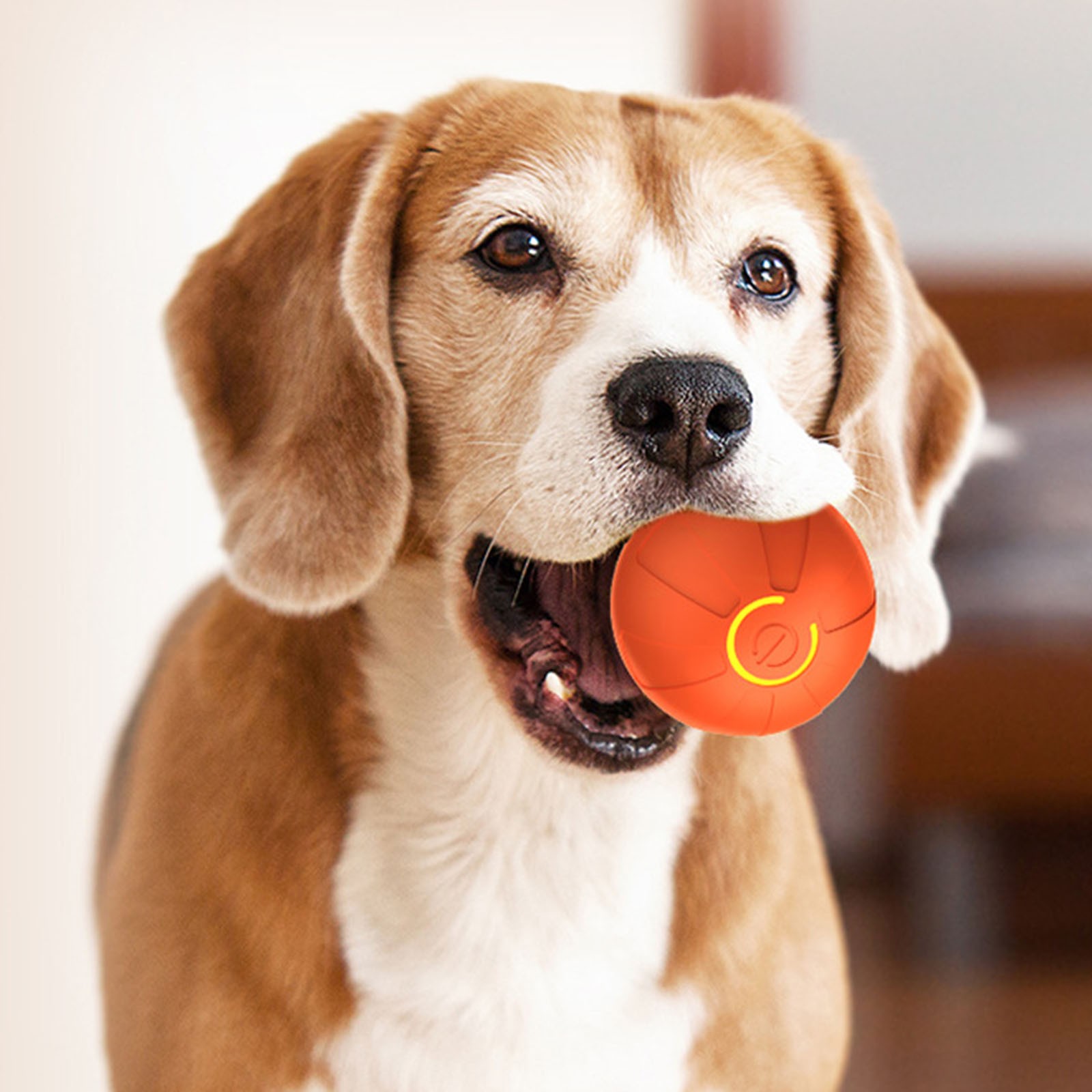 Interactive Dog Ball Toys,Vibrating Dog Ball,Dog Rolling Balls for ...