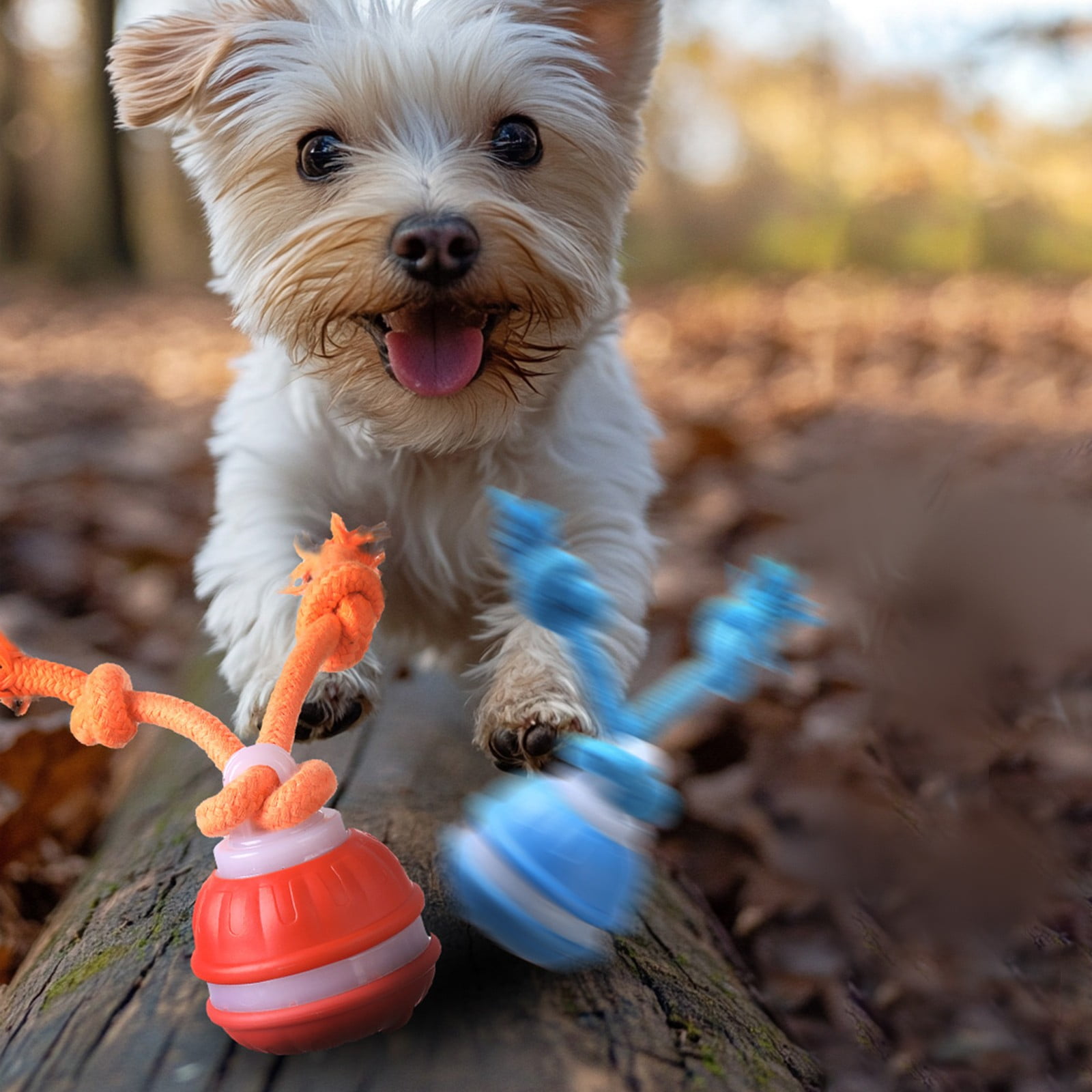 Interactive Dog Toy Ball with Rope, Chew-Resistant Pet Toy for Medium ...