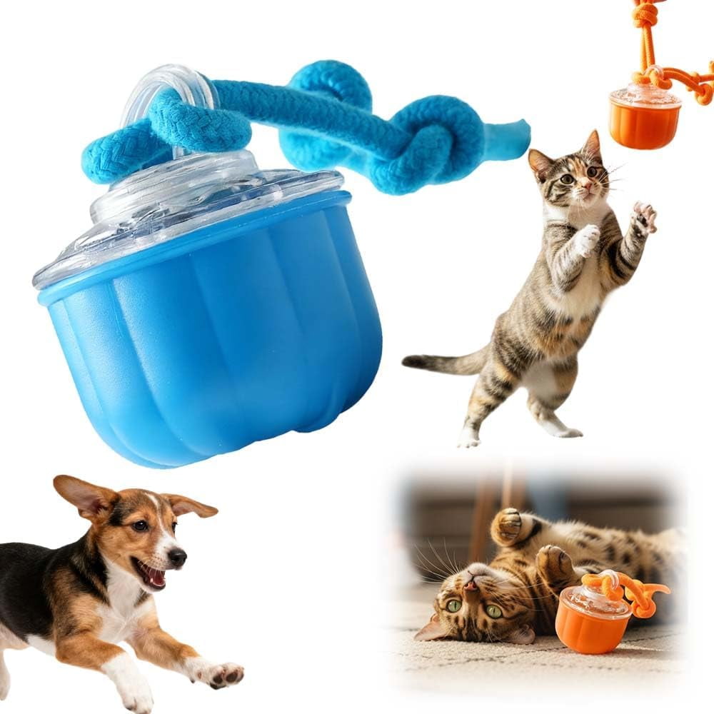 Interactive Dog Toys, 2026 New Automatic Rolling Ball for Small to ...