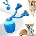 Interactive Dog Toys - 2026 New Motion Activated Dogs Ball with 360 ...