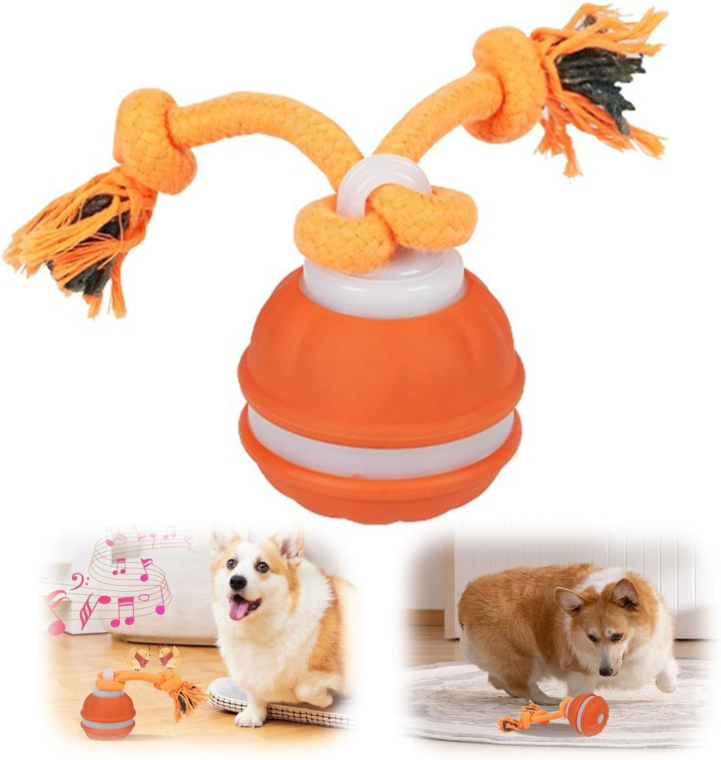 Interactive Dog Toys, 2026 Upgrade Automatic Rolling Ball with Squeaky ...